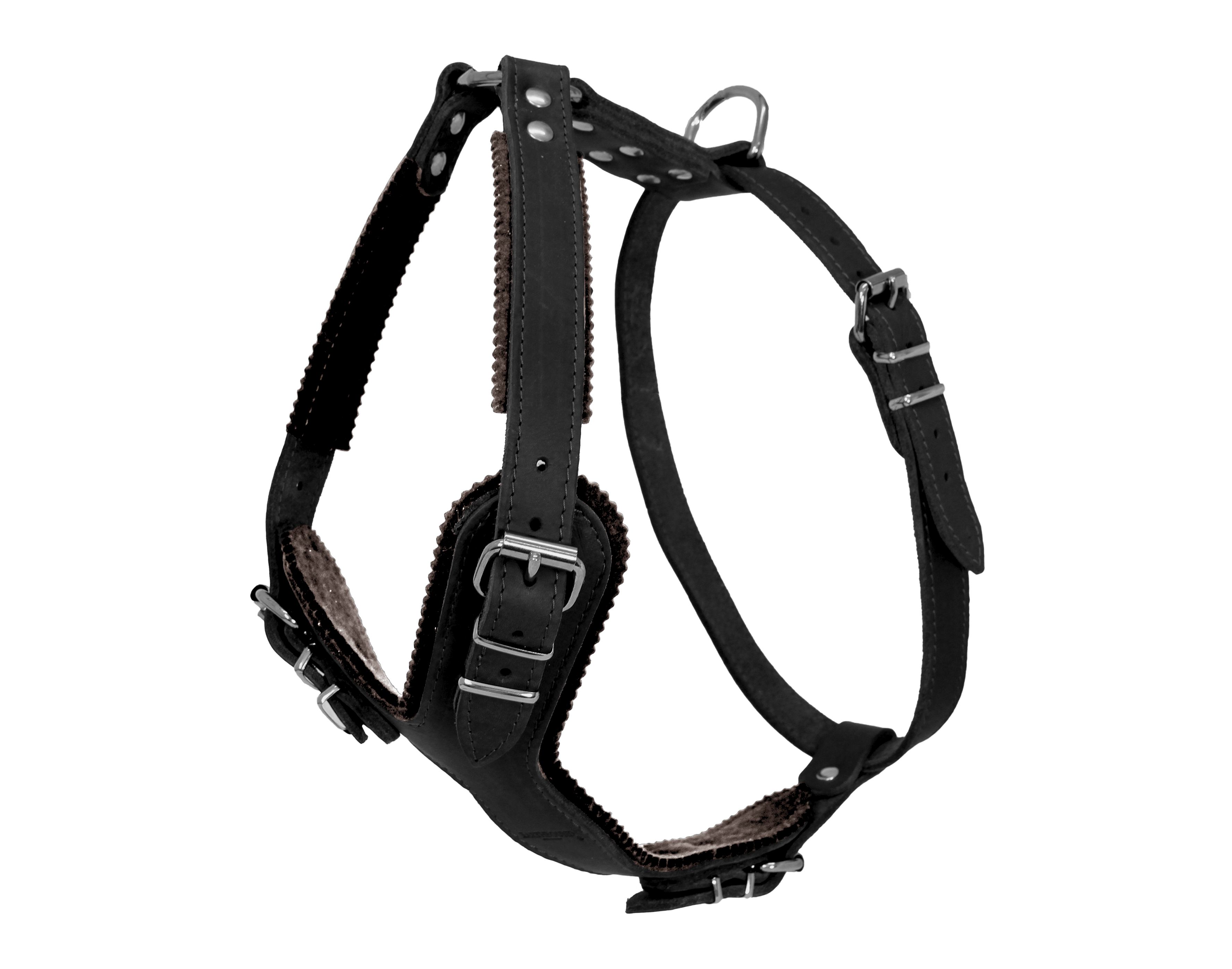 Ox Leather Harnesses – Earthbound UK